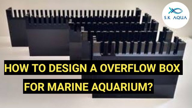 How to design a overflow box for marine aquarium? - SK Aquatic